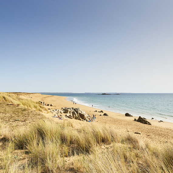 The wild dunes of Gâvres in Quiberon, an exceptional natural site in