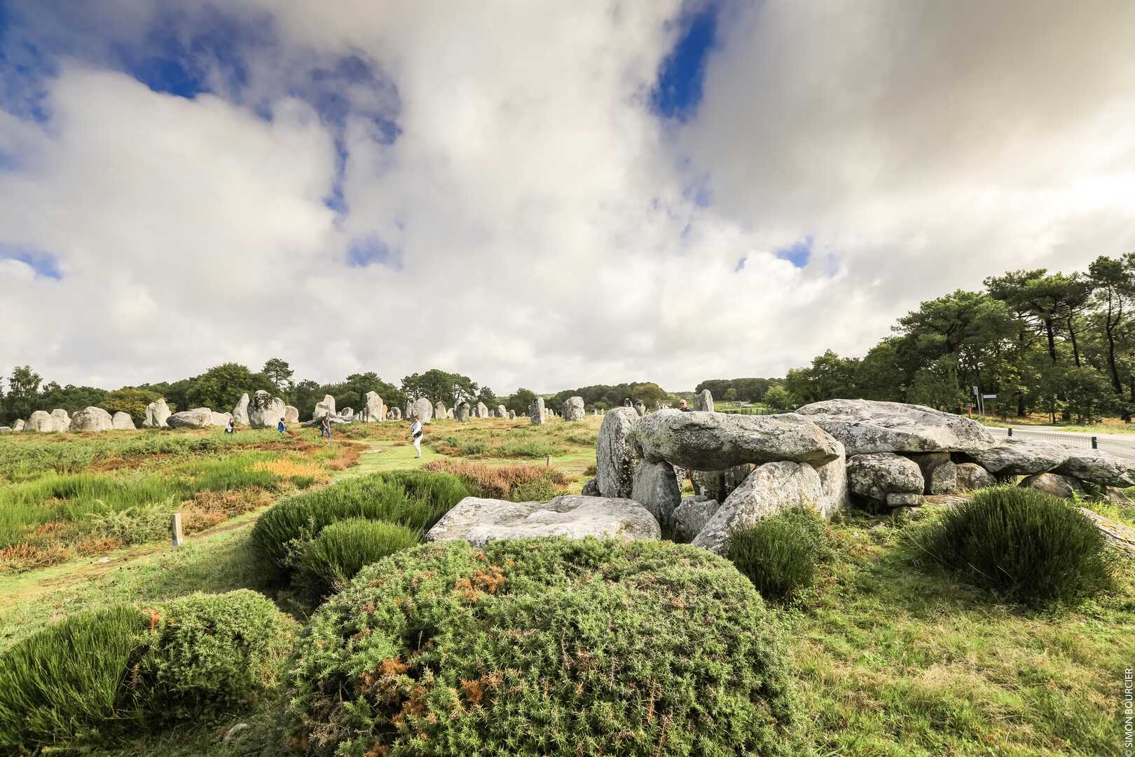 Visit Carnac and its menhir alignments