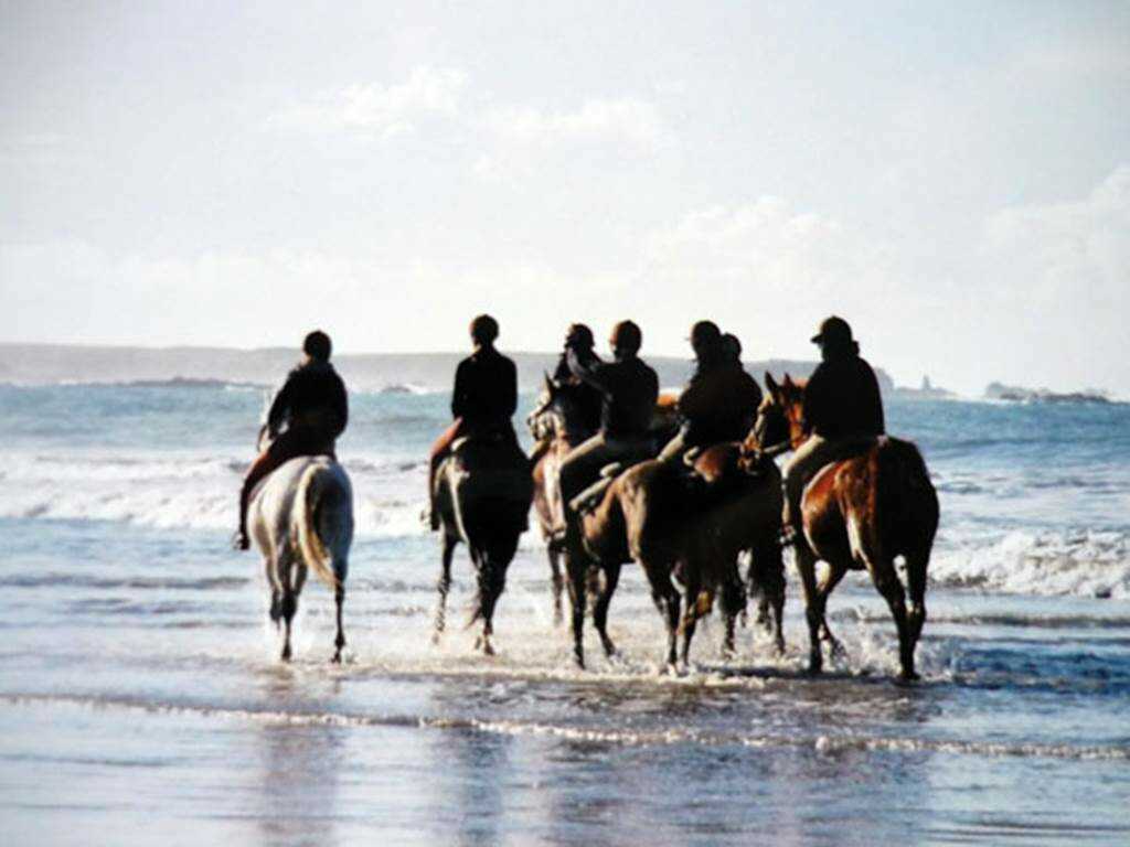 L'Eperon equestrian center Sports and leisure activities