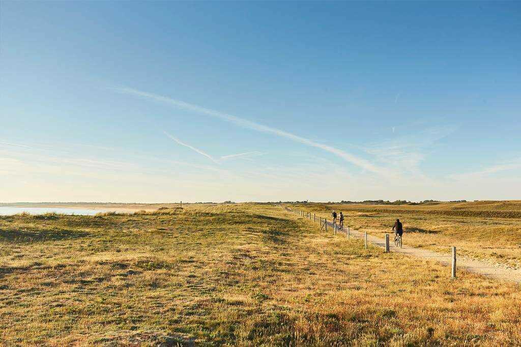 Erdeven - MTB track - The dune cordon Cycling circuits | Quiberon Bay